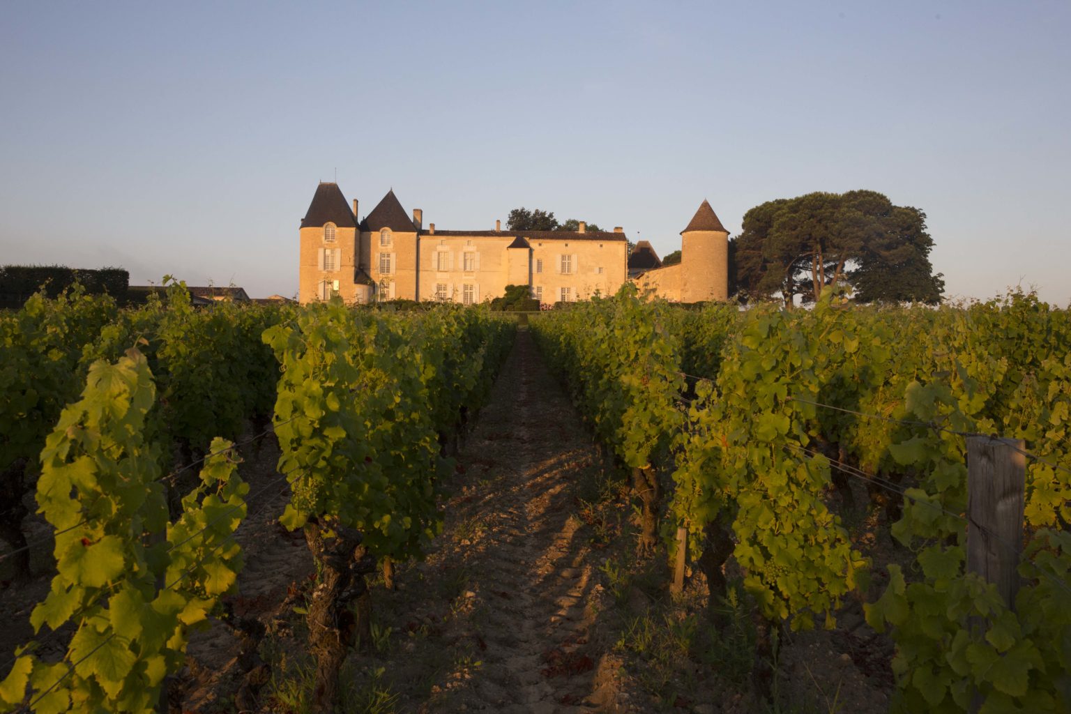 Discover the Sweet Secrets of Iconic Wine Producer Château d’Yquem ...