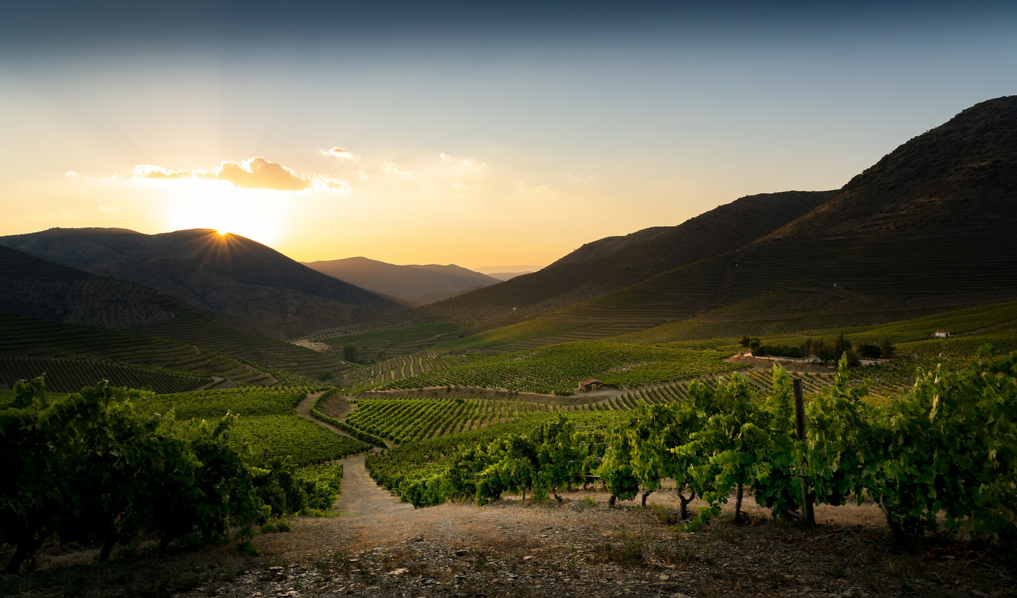The Remarkable Story of Portugal’s Most Iconic Wine - robbreportmonaco.com